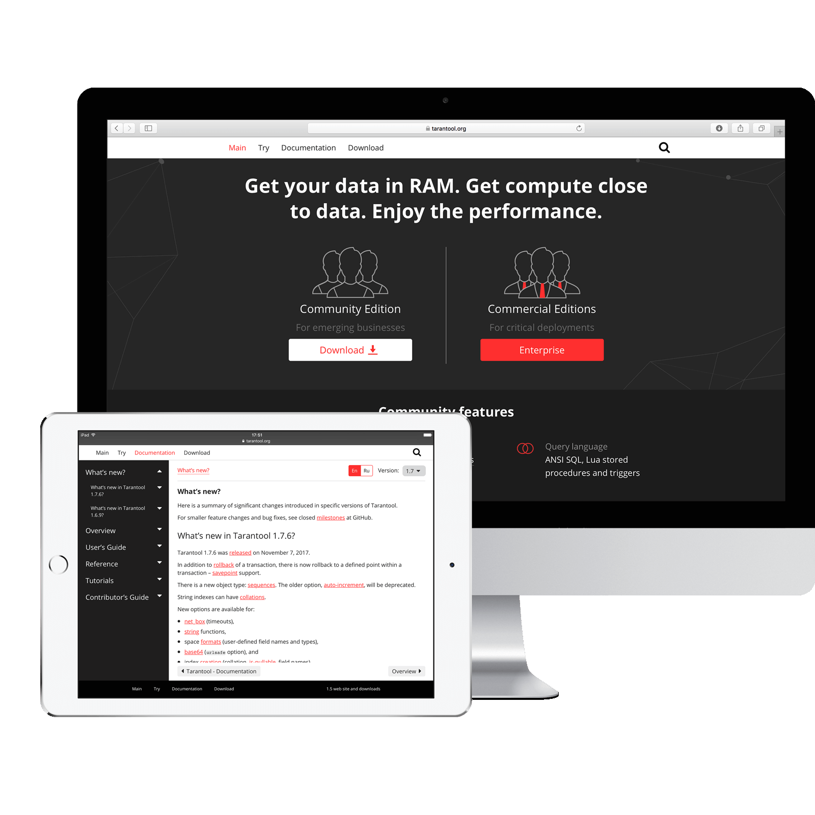 Tarantool NoSQL database website development & design | Live Typing